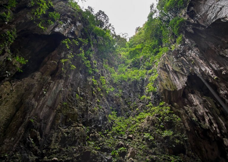 Ultimate Guide To Climbing The Batu Cave Steps In Malaysia - enSquared ...