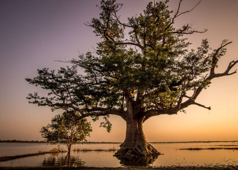 Enjoying An Incredible Life As Modern Day Nomads - enSquared♡Aired